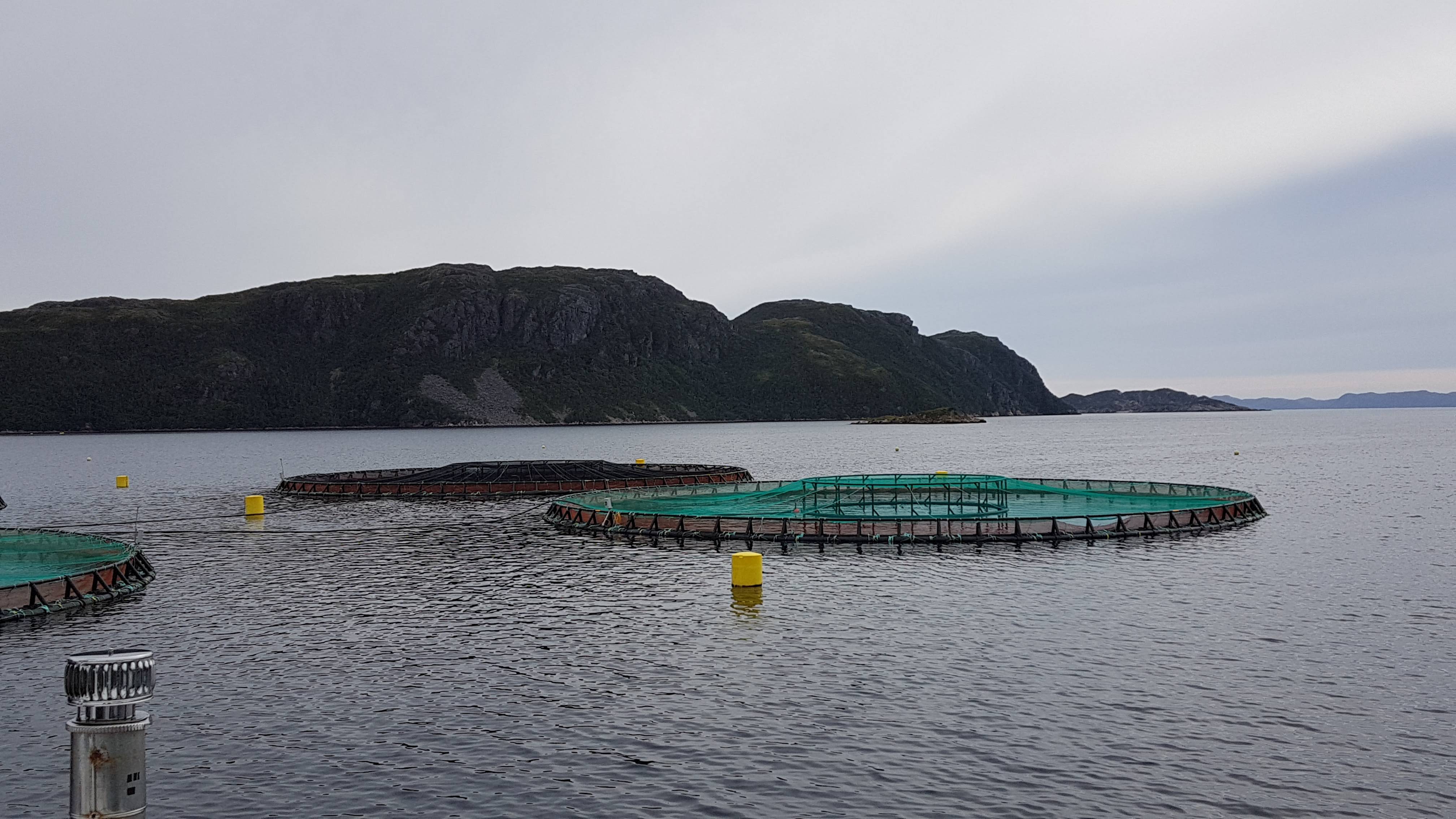 Carrying capacity | Social Licence & Aquaculture | Atlantic Canada